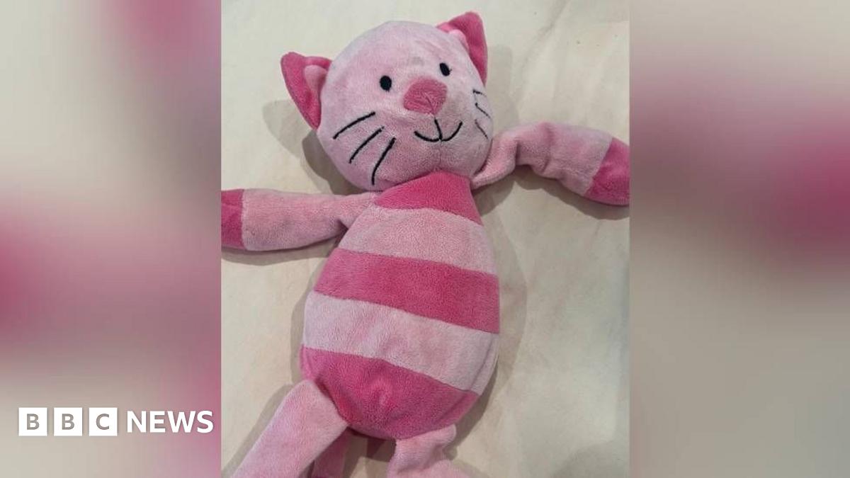 Cardiff mum offers £500 reward to find daughter's lost cuddly toy - BBC ...