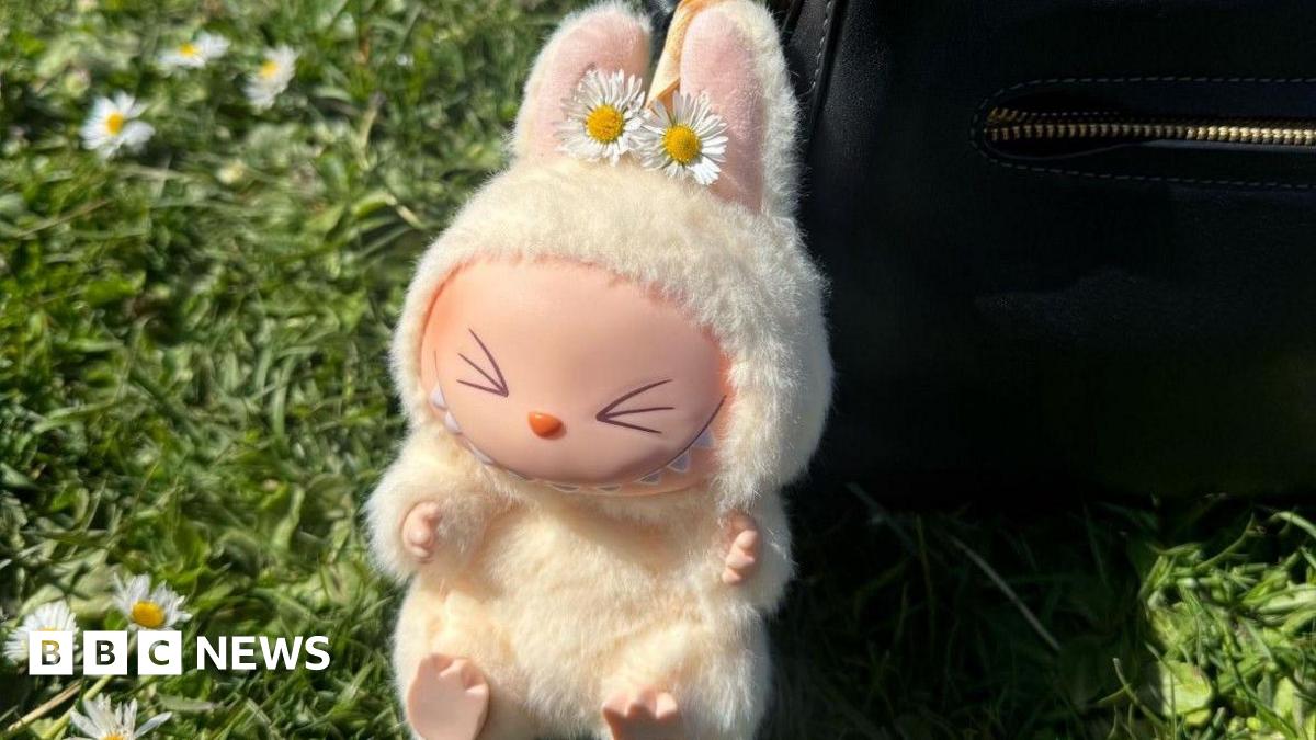 Labubu fan fury after dolls pulled from Pop Mart stores over fights ...