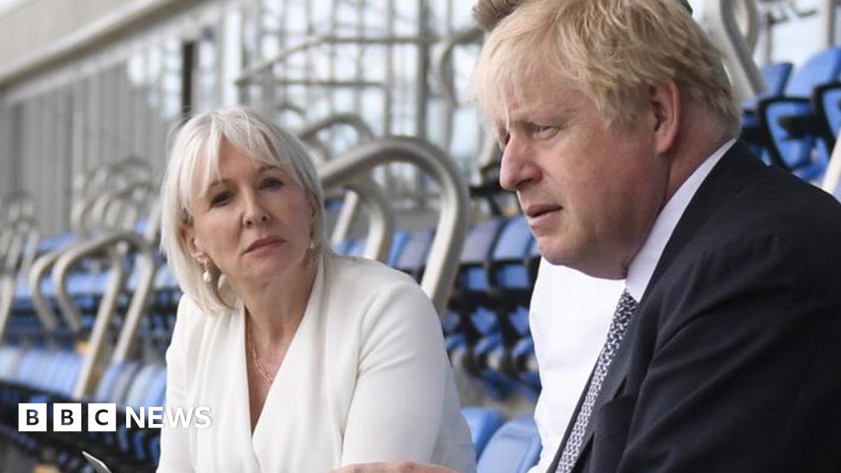 Nadine Dorries: What happens next in Mid Bedfordshire seat? - BBC News