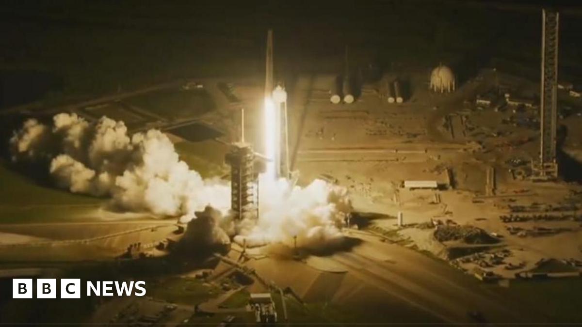 Sree leela sexy videos adorable girl that was quite