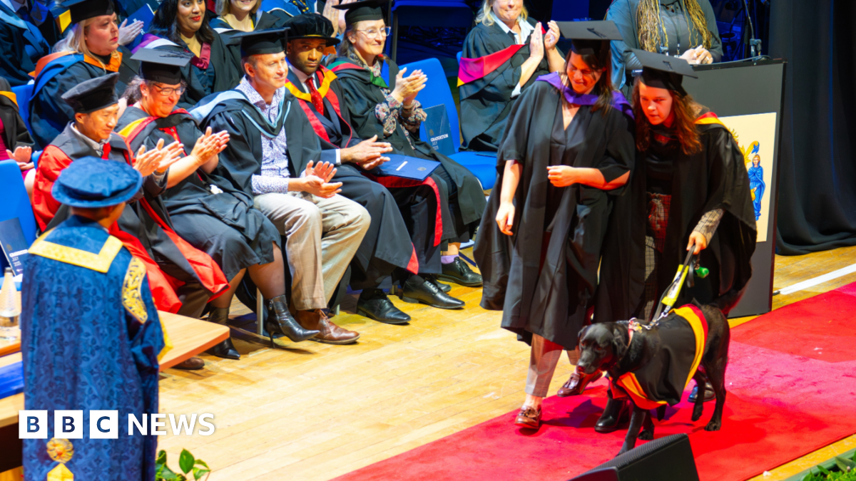 Wolverhampton university student graduates with guide dog in mini gown ...