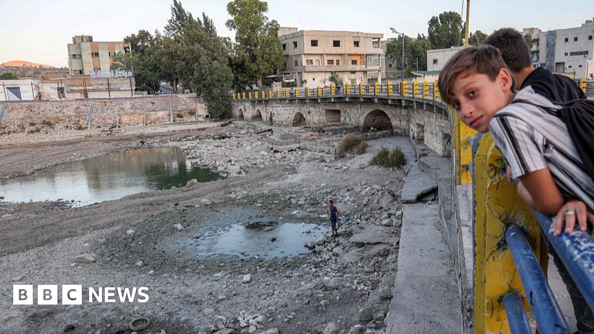 Syria's worst drought in decades pushes millions to the brink - BBC News