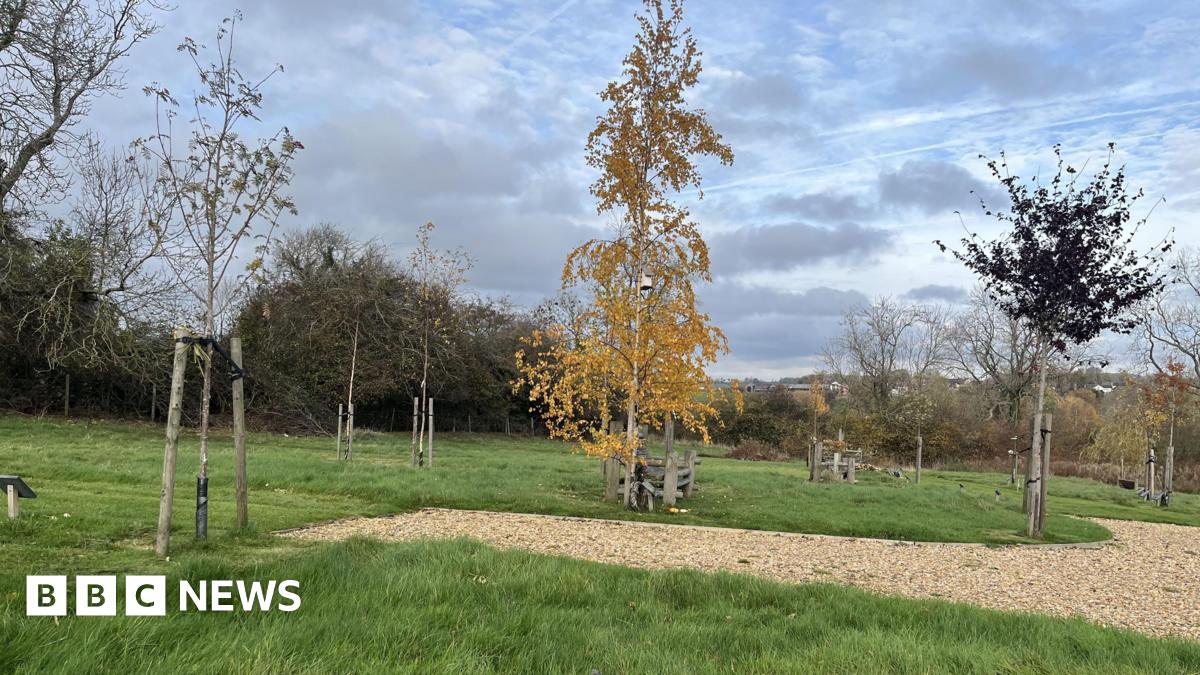 Remembrance event trees stolen from burial ground - BBC News