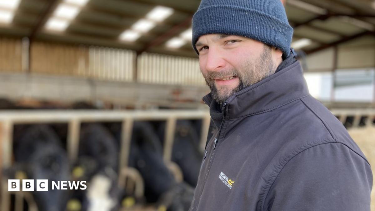 Beef cattle carbon emissions scheme 'could disadvantage us' - farmer ...