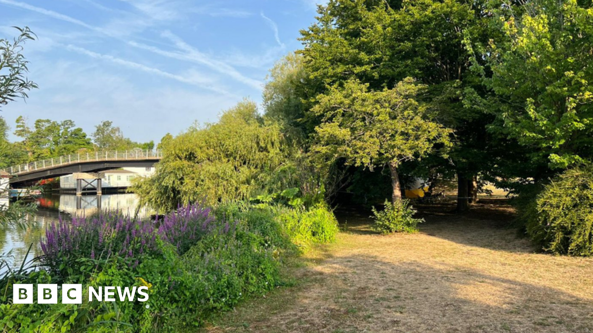 Young Chelsea fan died after hurting neck in Thames jump - BBC News