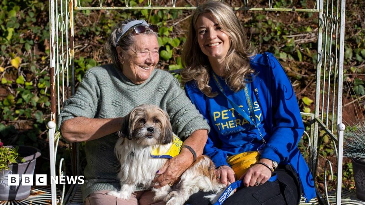 Rescued pup starts new life as therapy dog in Burton upon Trent - BBC News