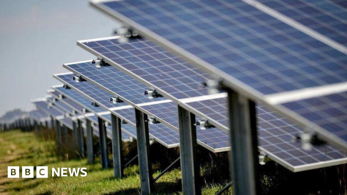 New Forest solar farm plan approved - BBC News