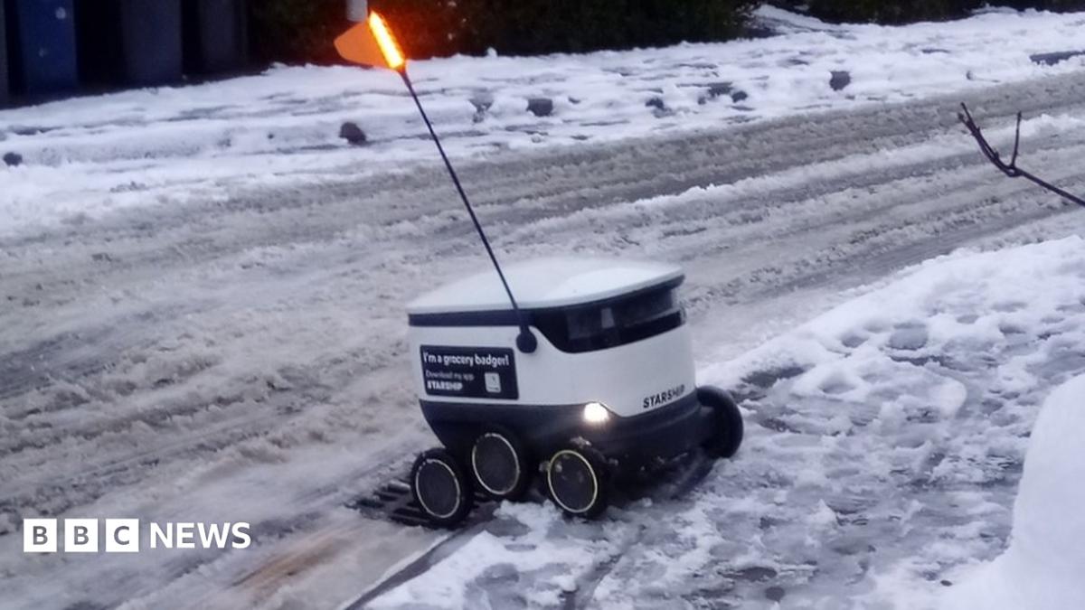 Cambridge delivery robot grateful for snow rescue - BBC News