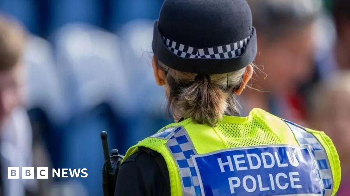 Devolve policing when crime commissioners go, says Plaid Cymru - BBC News