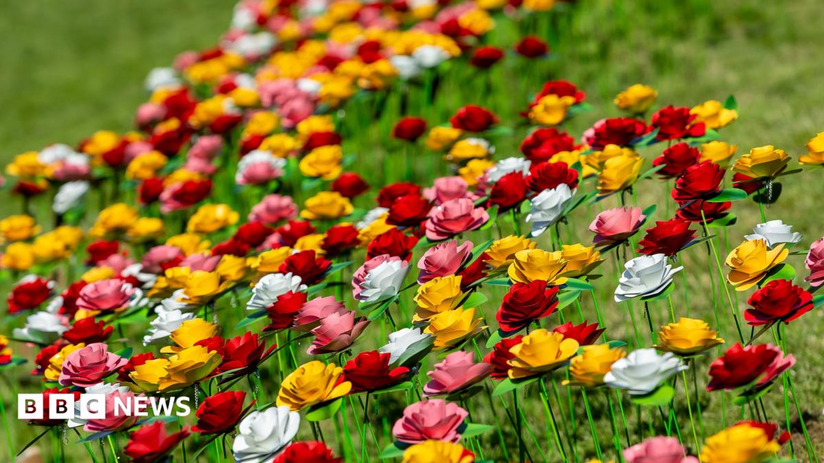 Recycled rose installation opens at Swindon hospice - BBC News