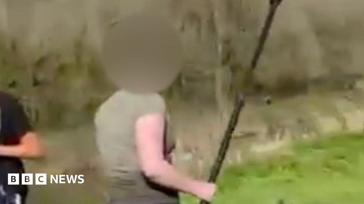 Bristol woman pleads guilty over hitting boy with a paddle - BBC News