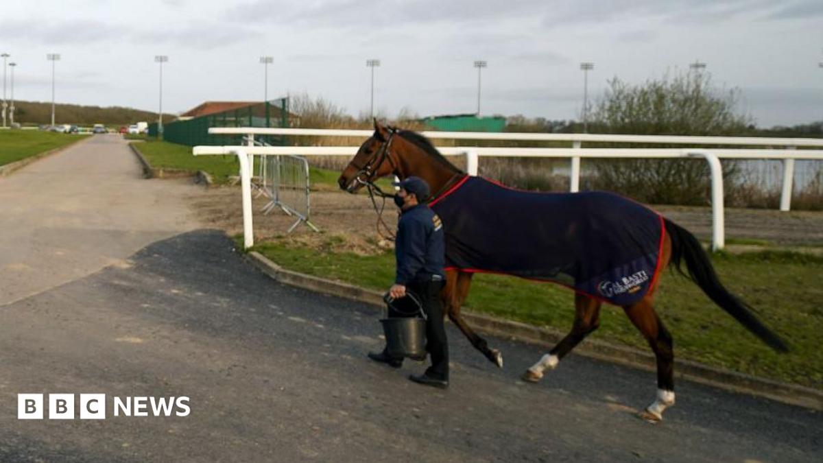 Chelmsford City Racecourse files to appoint administrators - BBC News