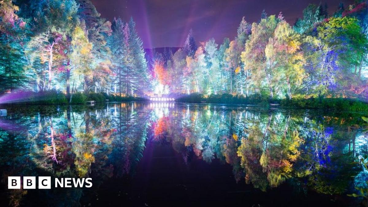 In Pictures: Enchanted Forest light show opens to public - BBC News