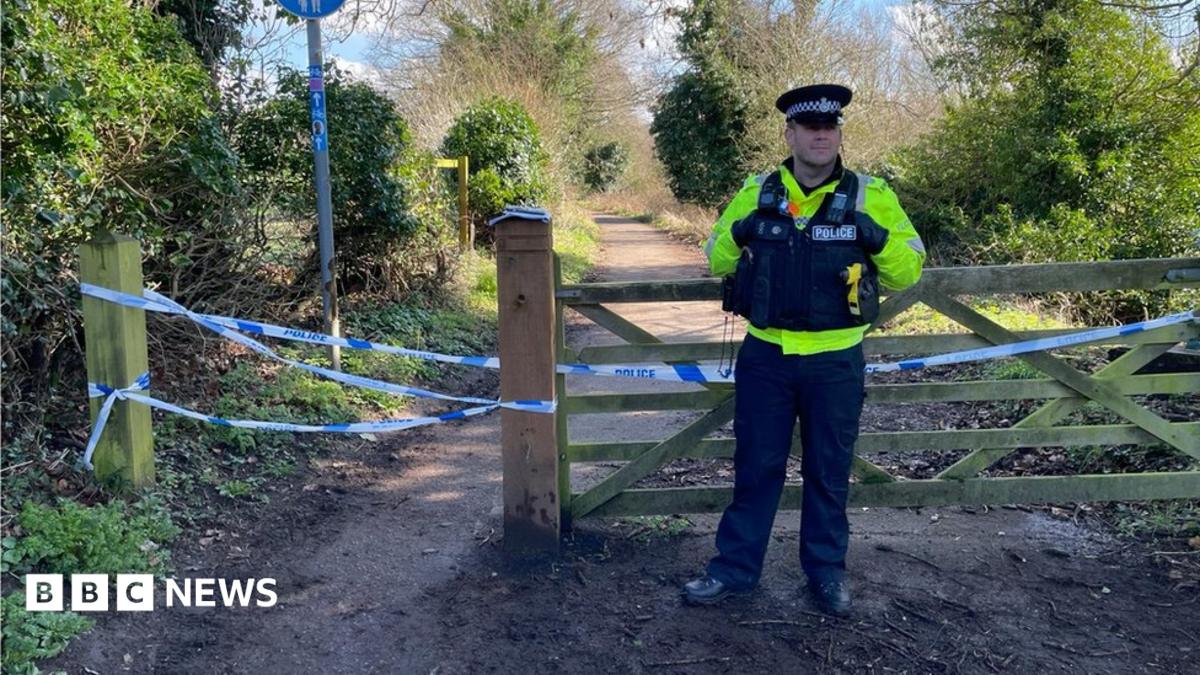 Body discovered at Marston Marsh nature reserve in Norwich - BBC News