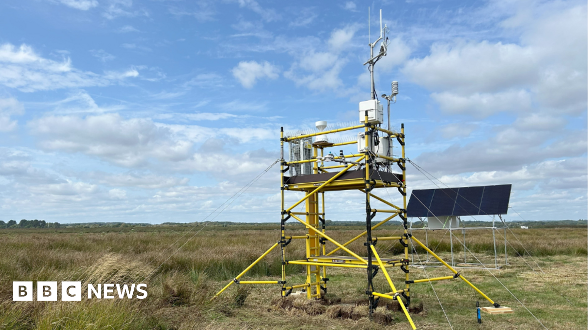 Arne Moor's monitoring tower to track carbon locked in salt marsh - BBC ...
