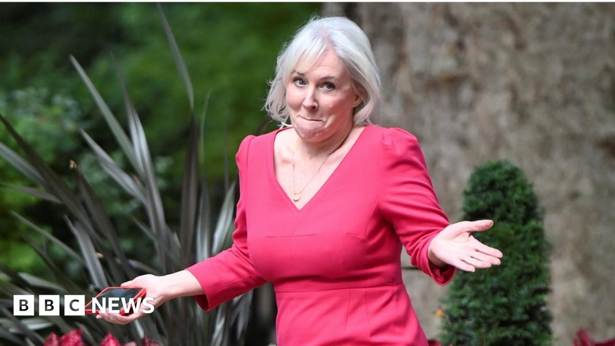 Nadine Dorries book and Dr No: The Plot thickens - BBC News