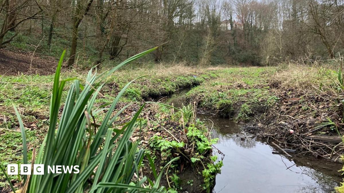 Bristol Brislington Brook: Public assured access to green "haven of ...