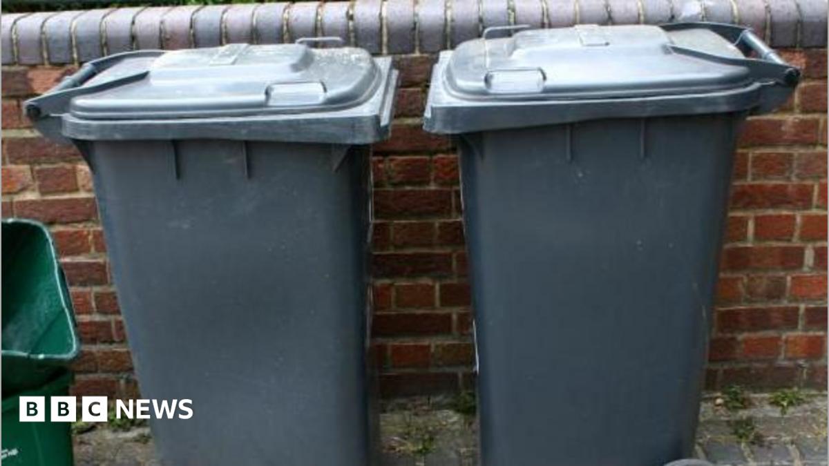 Peterborough black bin size could be reduced to promote recycling - BBC ...