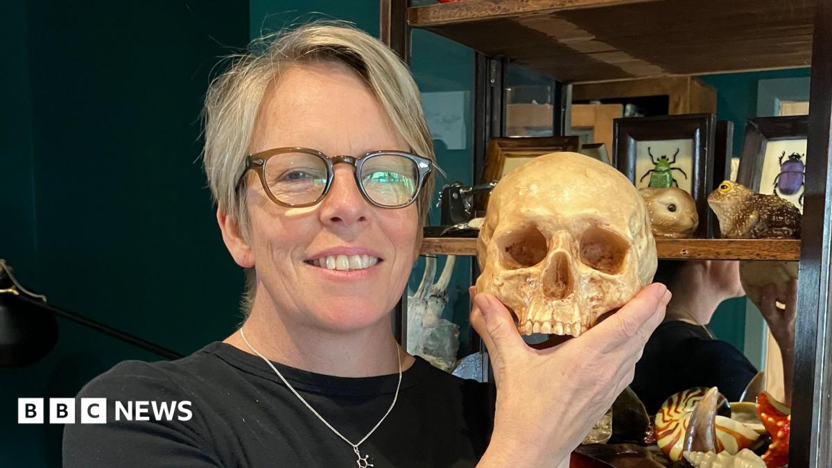 Halstead 'horror chocolatier' creates gory props for Netflix film - BBC ...
