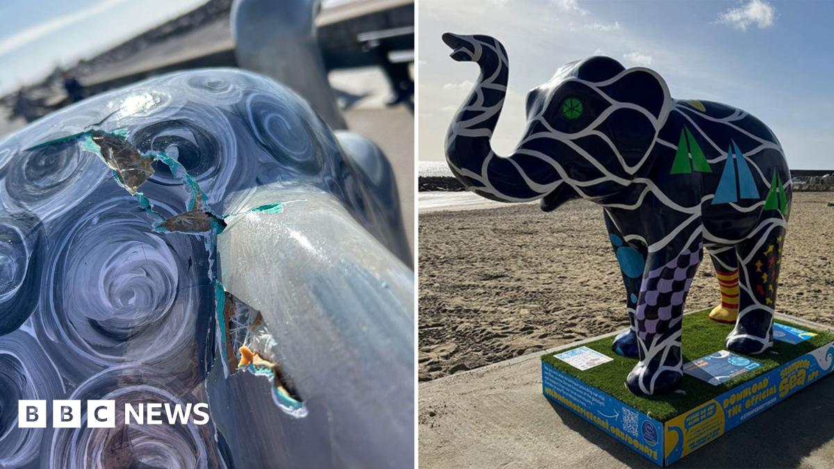 Dorset charity elephant sculpture damaged day after trail starts - BBC News