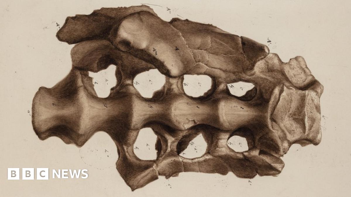 Royal Society: Four incredible objects that made science history - BBC News