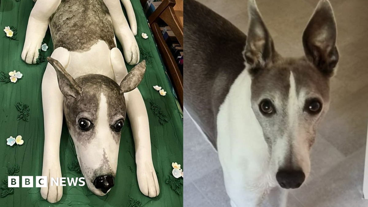 Oxford couple tuck into 'deranged' cake replica of pet dog - BBC News
