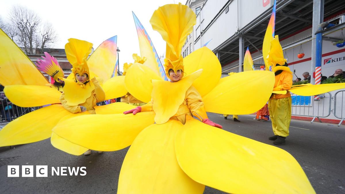 In pictures: New Year's Day Parade brings colour to capital - BBC News