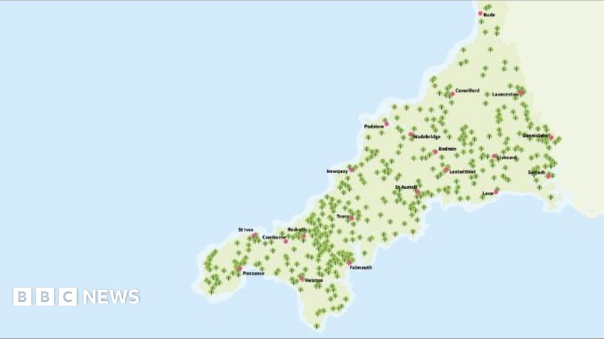 Trees planted across Cornwall to mark project's fifth anniversary - BBC ...