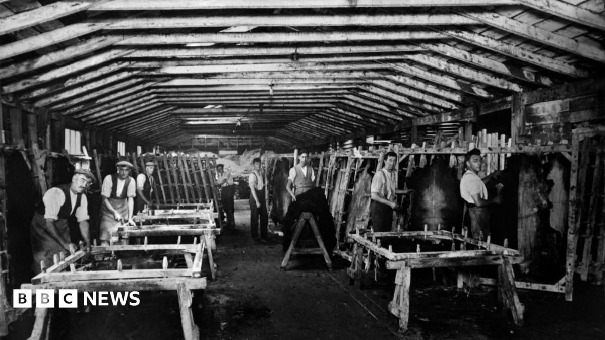 Glastonbury tannery workers reminisce over 'wonderful times' - BBC News