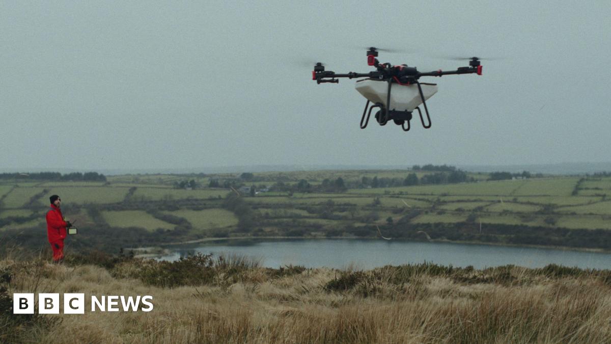Drones sow tree seeds in Devon and Cornwall rainforest project - BBC News