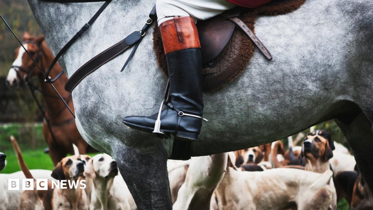 National Trust members vote to ban trail hunts on its land - BBC News