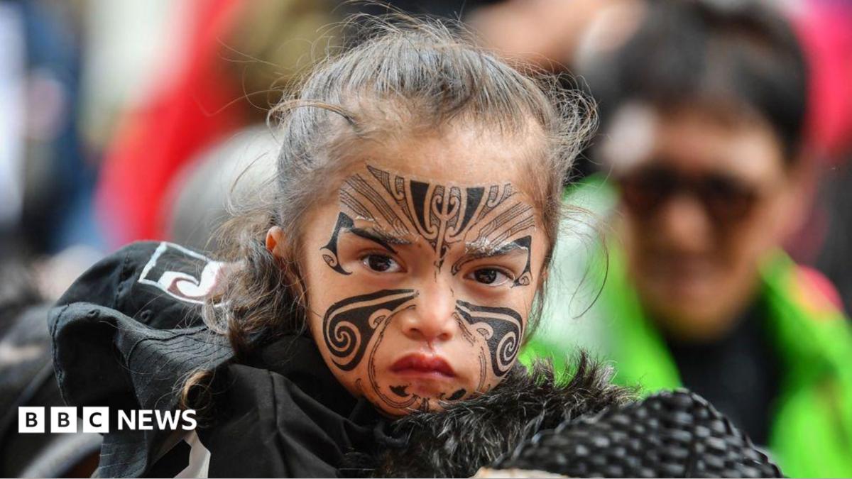 New Zealand: Maori protest as hikoi reaches Wellington - BBC News