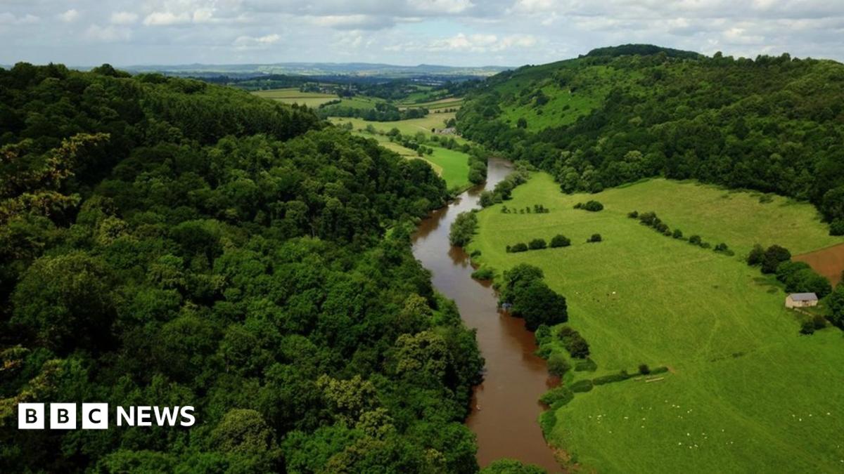 Symonds Yat Rock shut to climbers after major rockfall - BBC News
