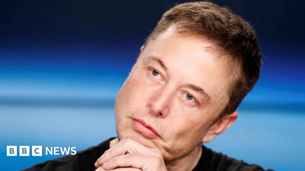 Elon Musk: No 'bonehead' analyst questions please - BBC News