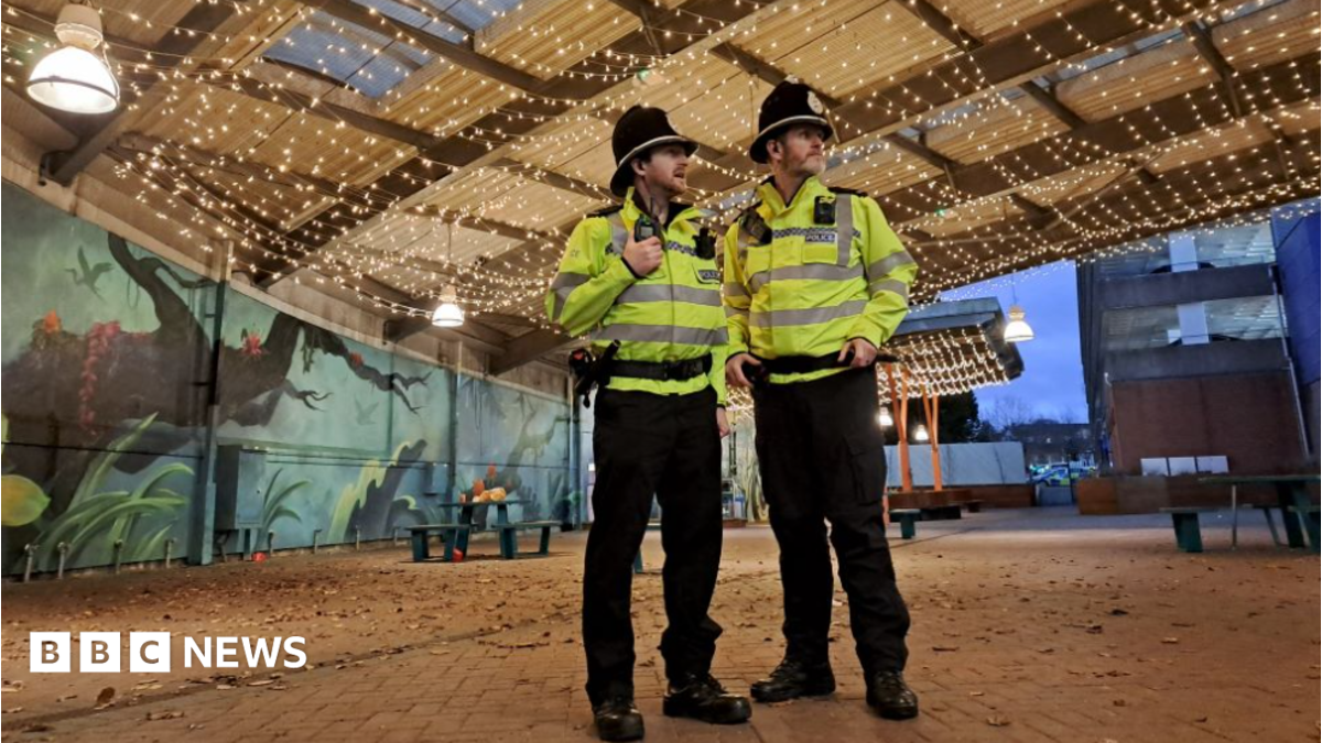 Extra West Mercia Police officers to patrol Christmas streets - BBC News