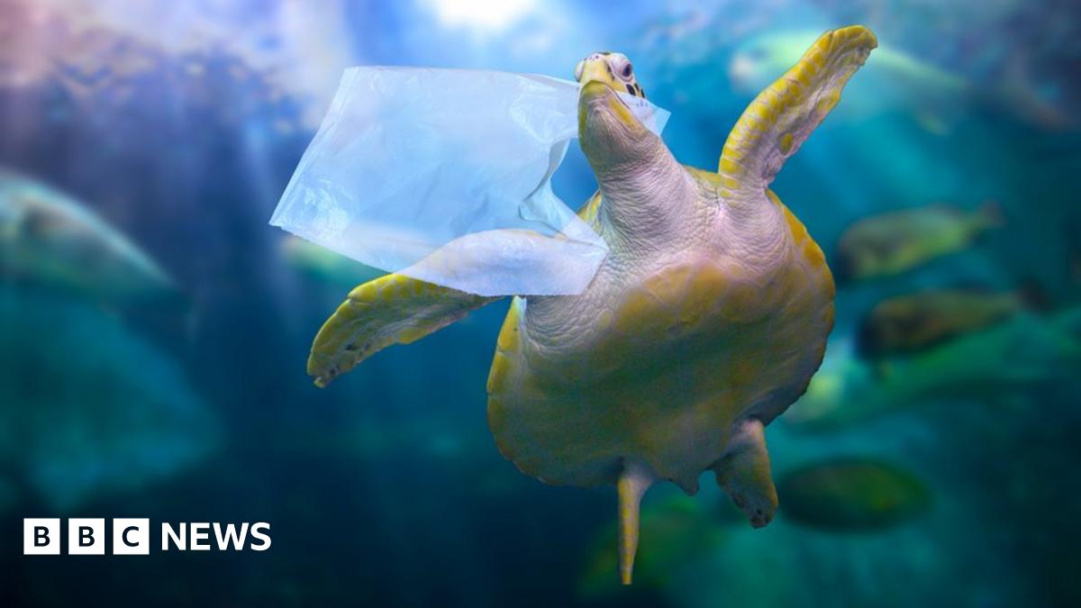 Oceans littered with 171 trillion plastic pieces - BBC News