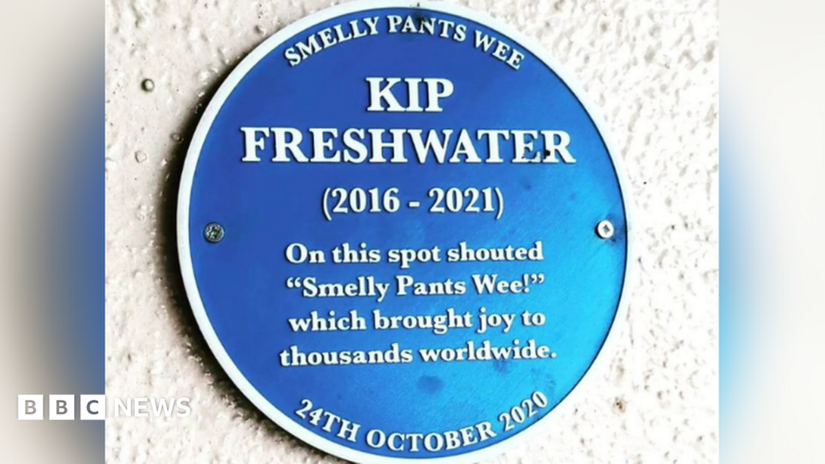 'Smelly pants wee' plaque to remember cancer boy is removed - BBC News