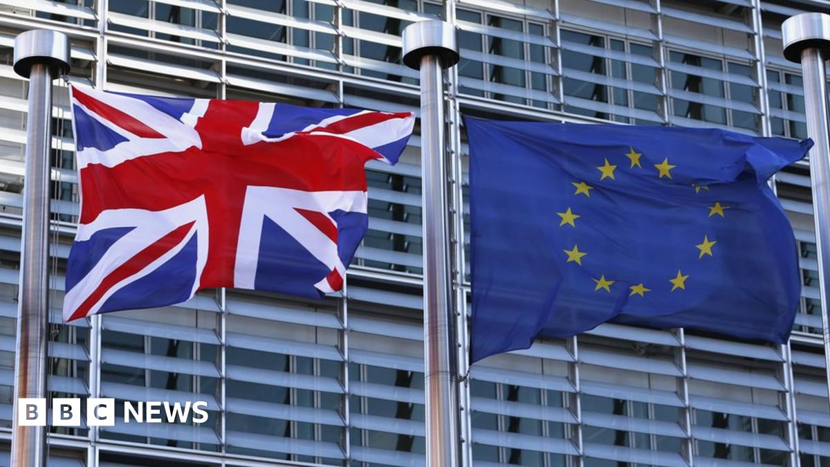 Brexit: EU considers flexible three-month extension - BBC News