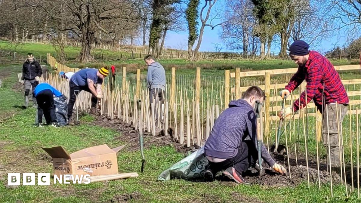Volunteers turn Ribble Valley grassland into network of wetlands - BBC News