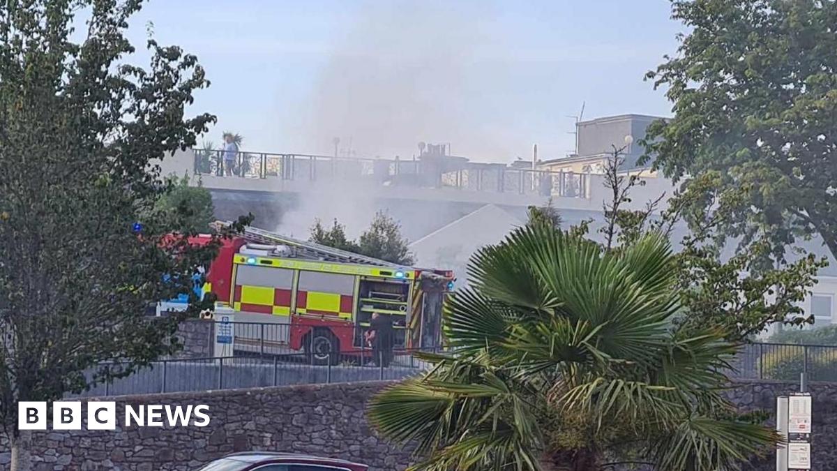 Coach exhaust 'causes hedge fire' in Torquay hotel car park - BBC News