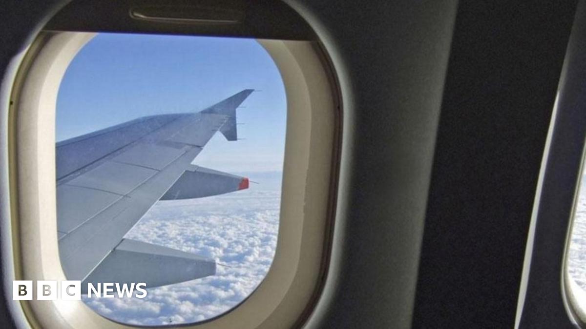 Joanna Felvus fined over Tenerife holiday flight abuse - BBC News