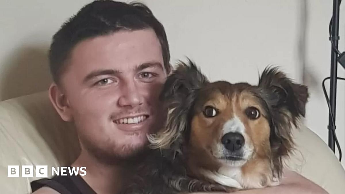 Shropshire: Driver thought he hit badger in fatal hit-and-run - BBC News