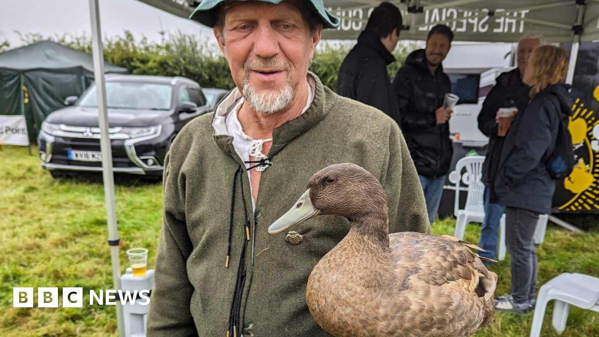 Gillingham: 'Man's best friend' is actually a duck - BBC News