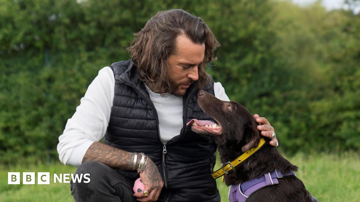 Pete Wicks documentary increases footfall at dog centre - BBC News