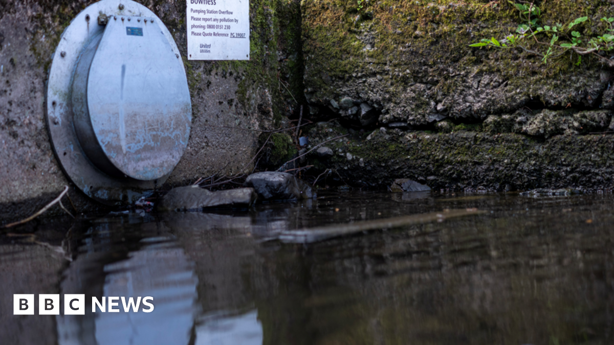 Windermere sewage 'nuisance' complaint made against water firm - BBC News