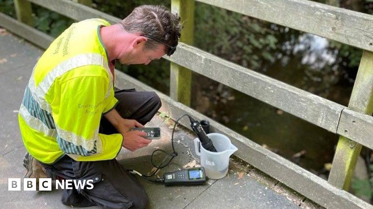 River Arun alert after pollution discharged from Horsham drain - BBC News