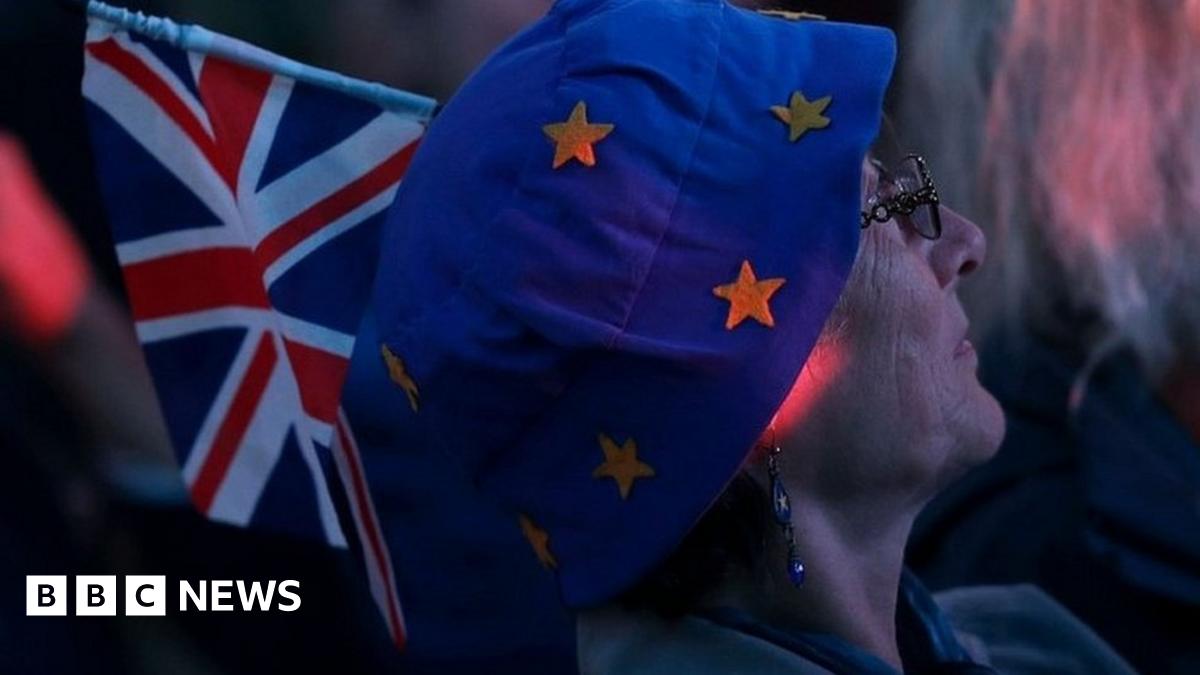 People's Vote says 'multiple opportunities' for Brexit referendum - BBC ...