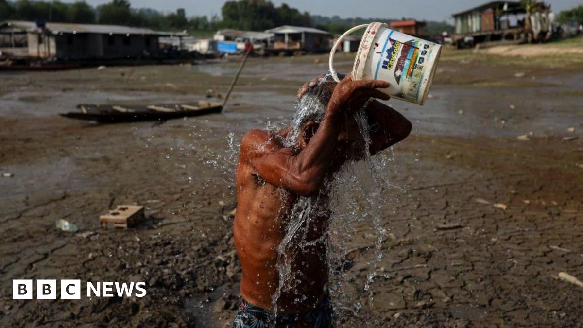Amazon's record drought driven by climate change - BBC News