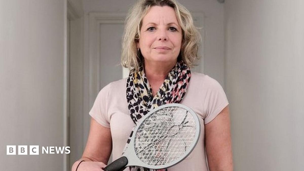 How Rushden found itself caught up in a fly 'nightmare' - BBC News