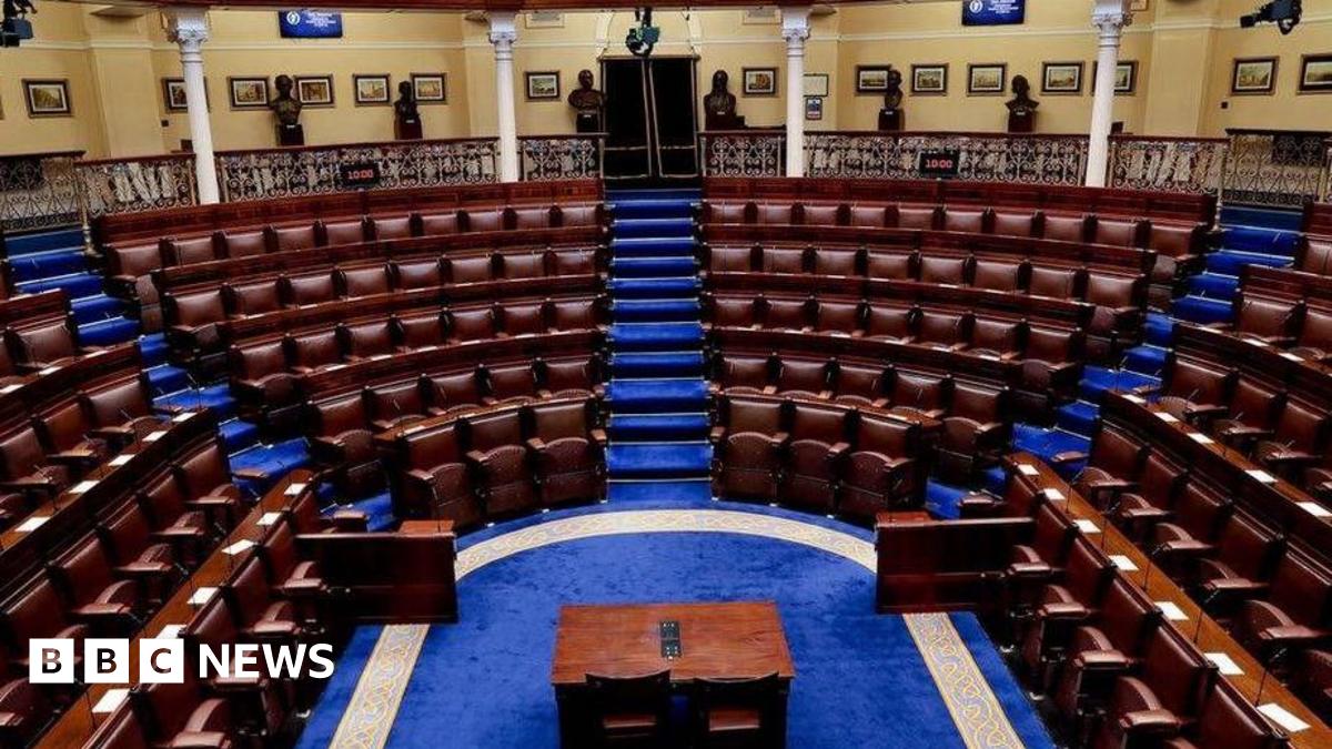 Who are the parties behind the Irish general election? - BBC News